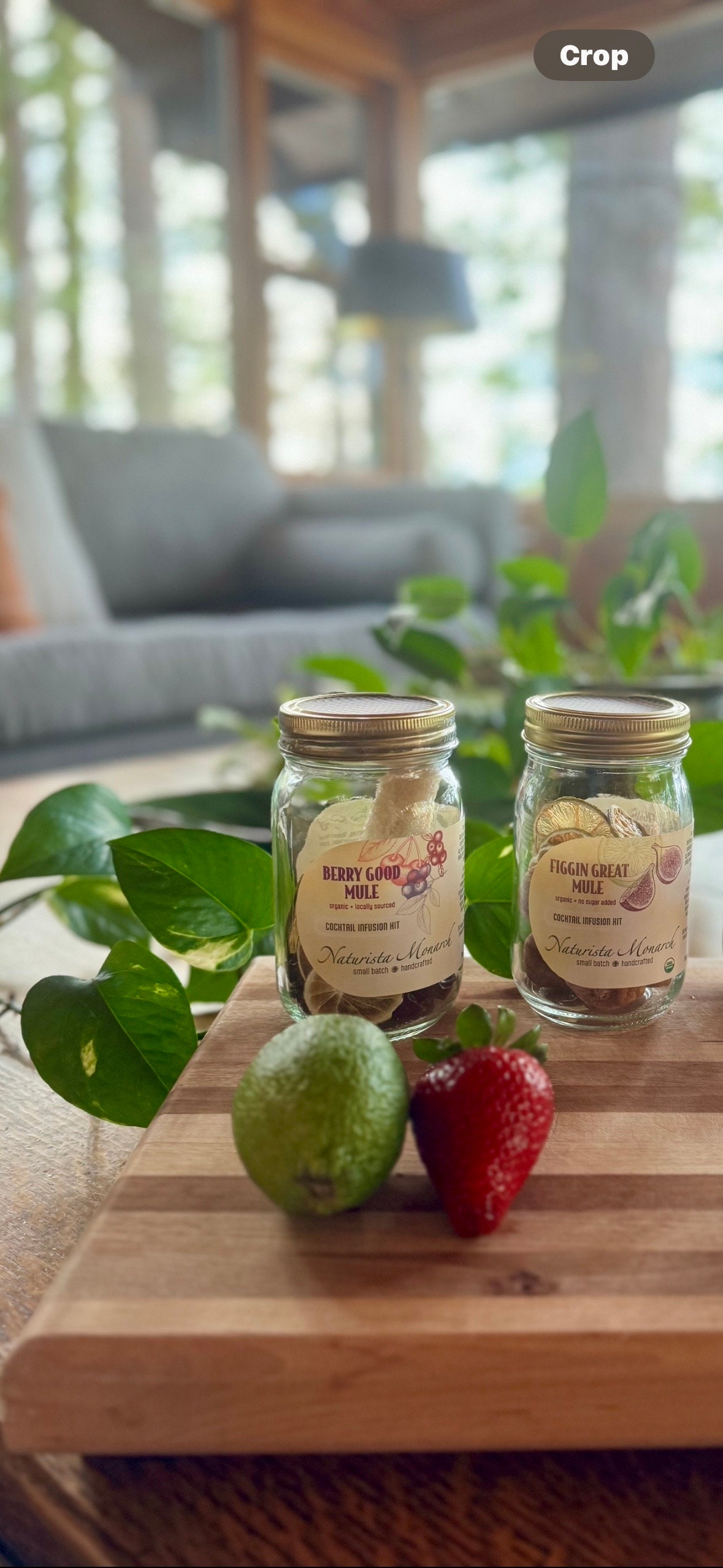 2 Cocktail Infusion Jars - Northwoods Handcrafted - Organic & Local ...