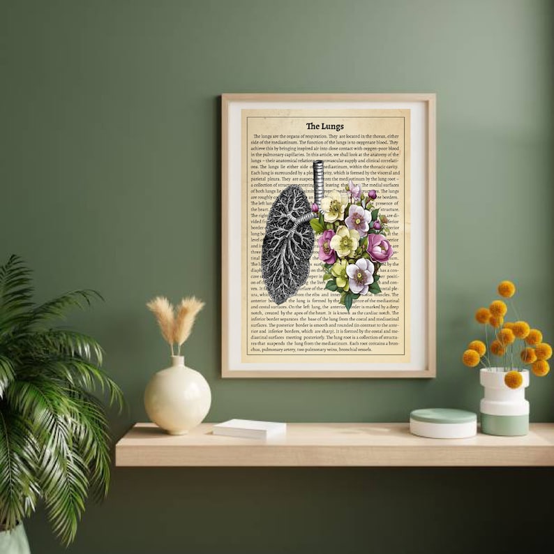 Lungs Anatomy Print,medical Poster,respiratory Therapy Gift ...