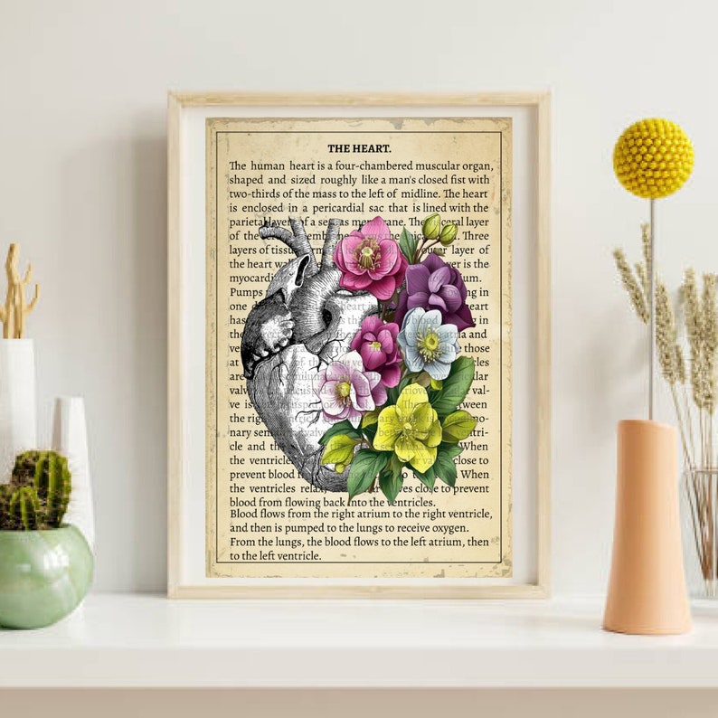 Heart Anatomy Print, Medical Poster, Cardiologist Gift, Cardiology ...