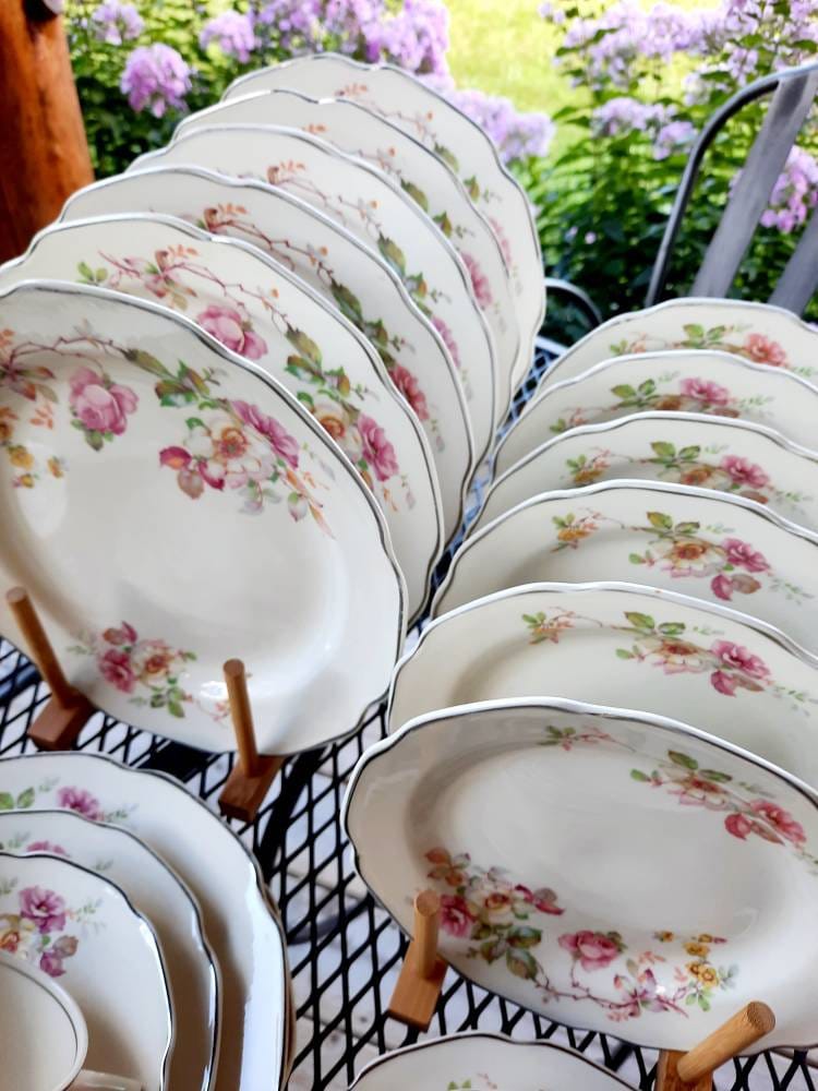 HTF Rare Vintage Dishes, Chicago, USA, Stetson Company, Fall Plates ...