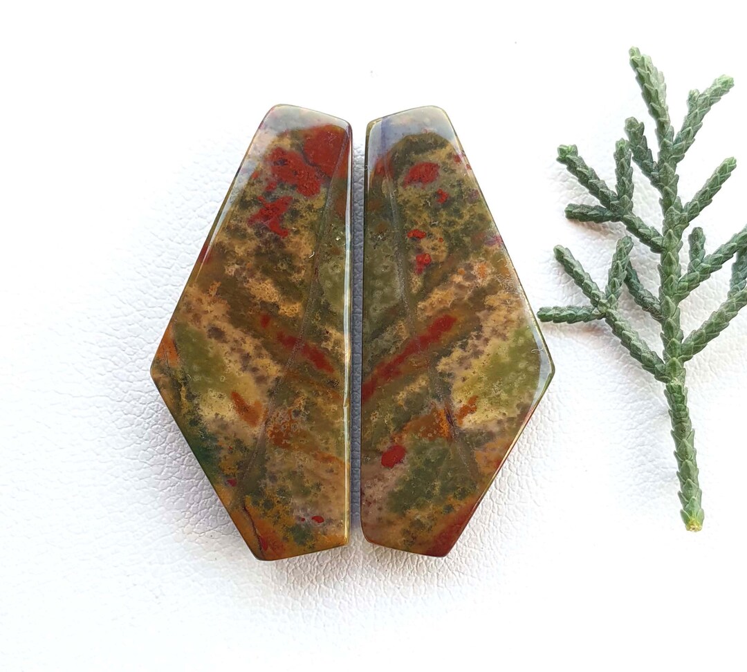 Bloodstone Pair, Blood Stone Fancy Shape Pair - Etsy