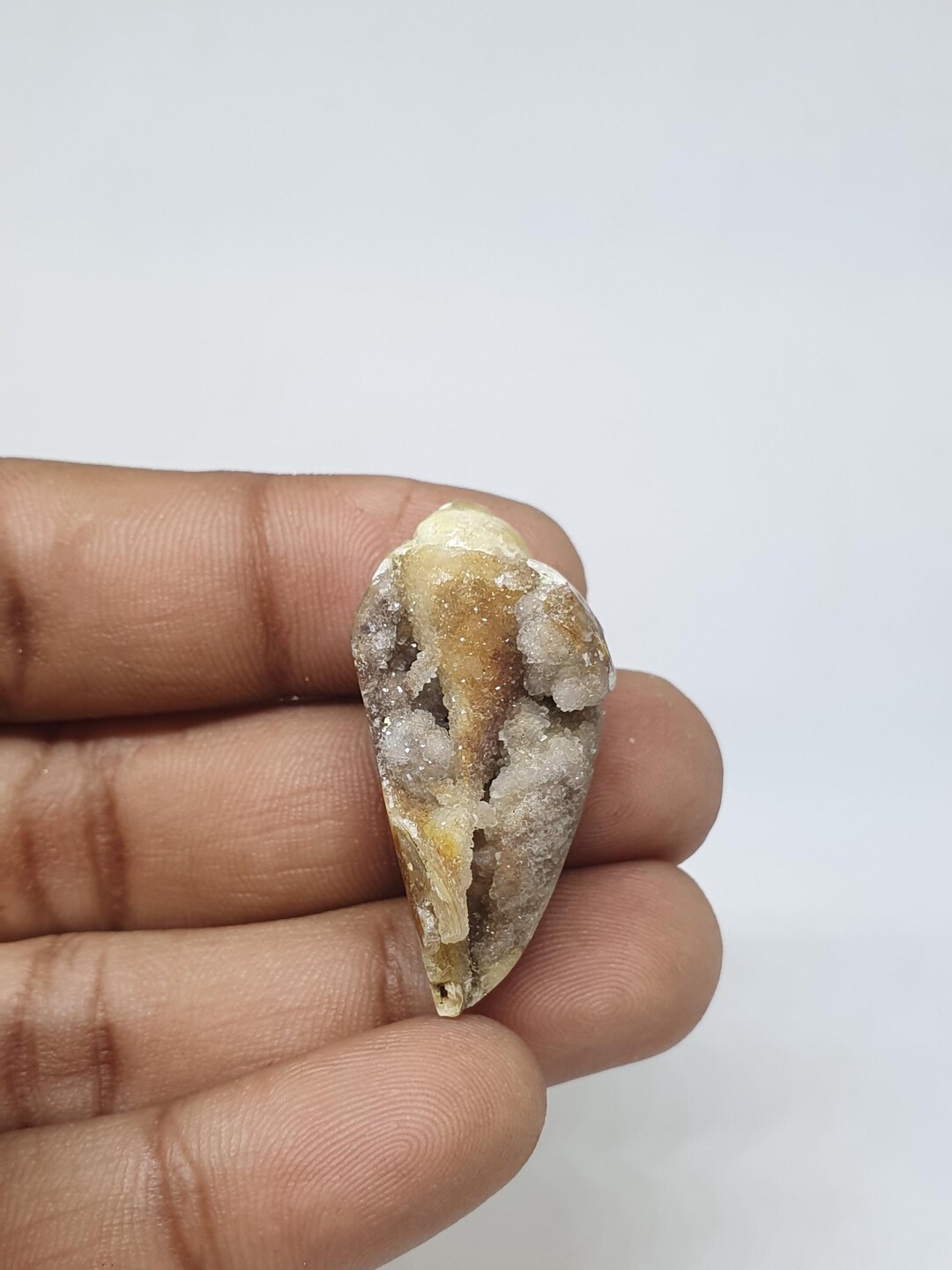 Gastropod Crystallized Fossil Shell Beautiful Gastropod Crystallized ...