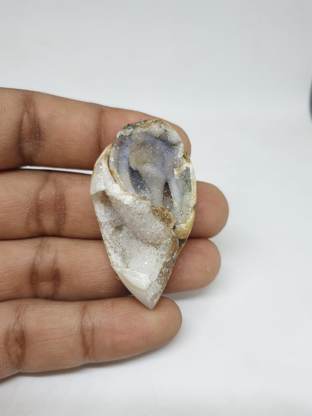 Gastropod Crystallized Fossil Shell Beautiful Gastropod Crystallized ...