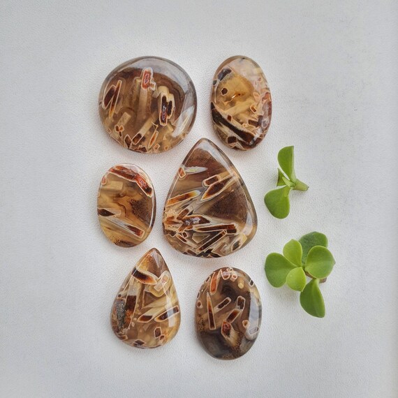 Natural Turkish Agate Cabochon Lot Smooth Turkish Agate - Etsy