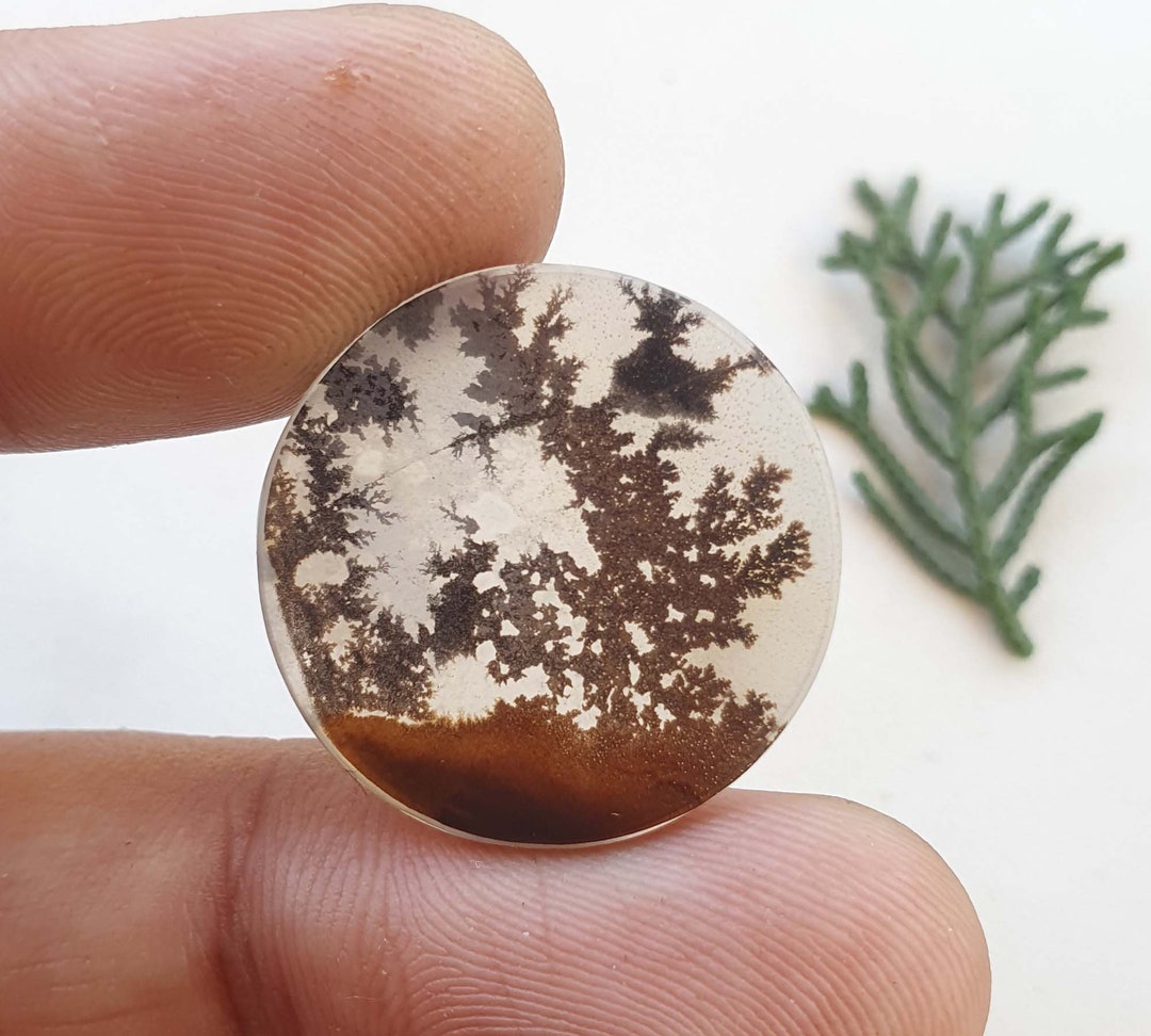 Natural Dendritic Agate Slice Smooth Round Shape Dendrite - Etsy