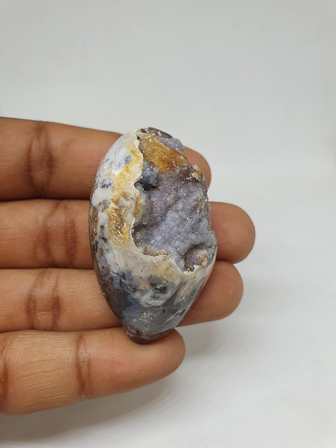 Gastropod Crystallized Fossil Shell Beautiful Gastropod Crystallized ...