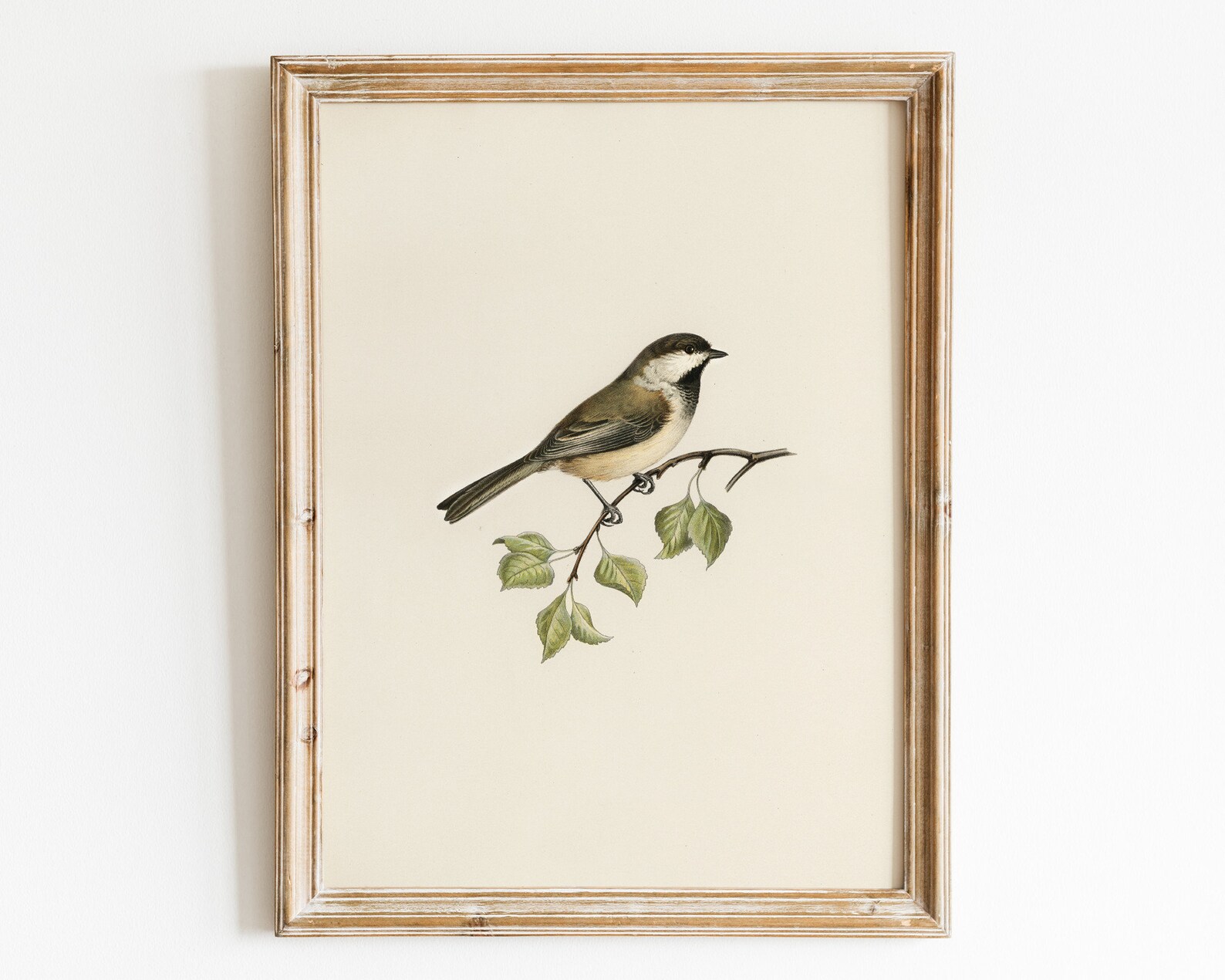 Vintage Bird Art Print, Printable Farmhouse Bird Illustration Wall Art ...