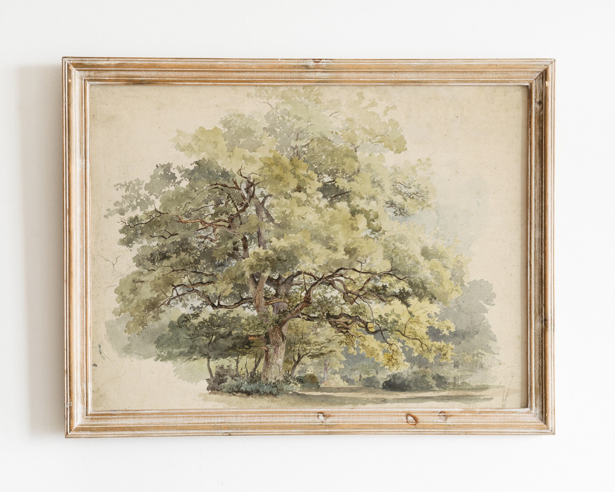 Vintage Oak Tree Painting Printable Watercolor Tree Wall Art - Etsy
