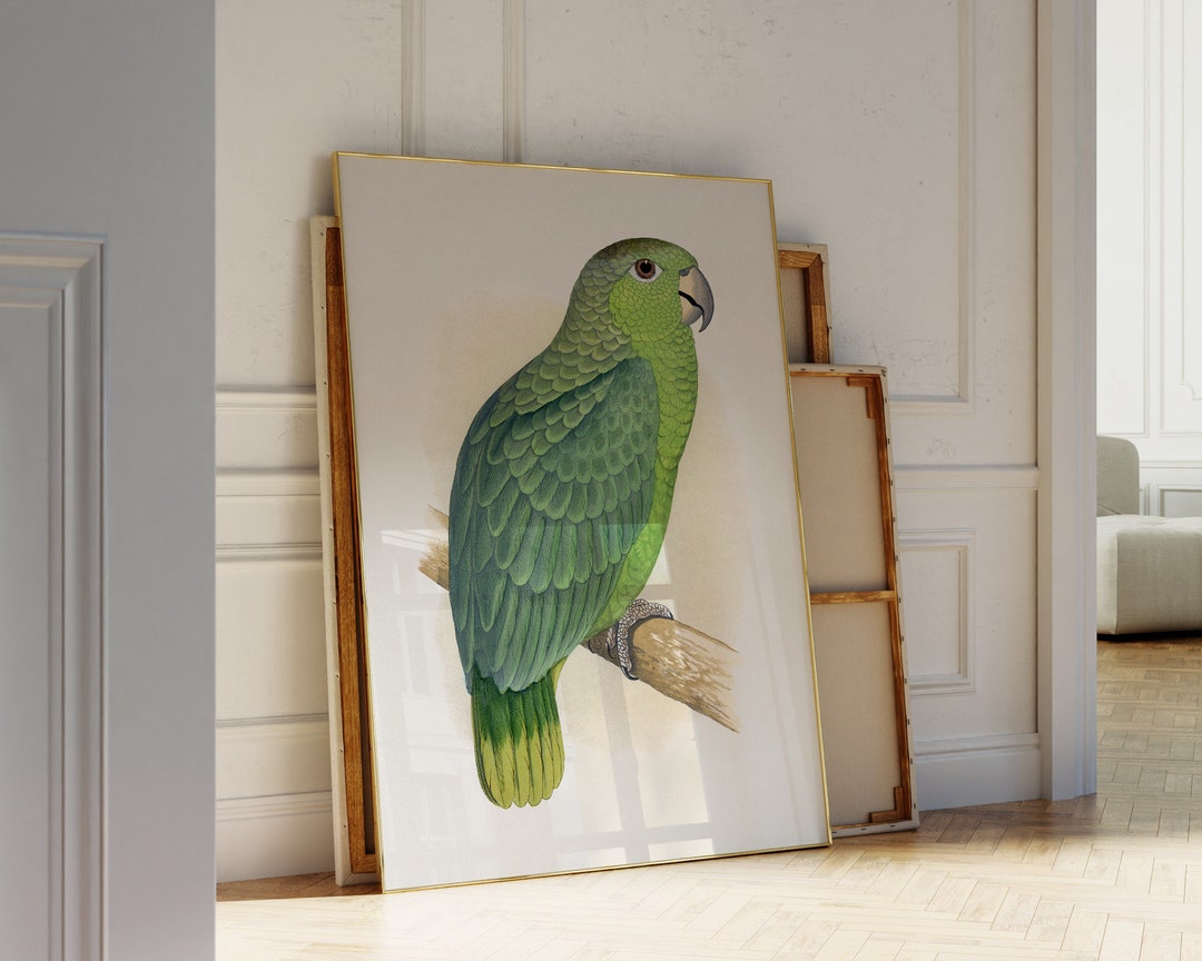 Green Parrot Wall Art, Printable Coastal Nursery Decor, Girls Room ...