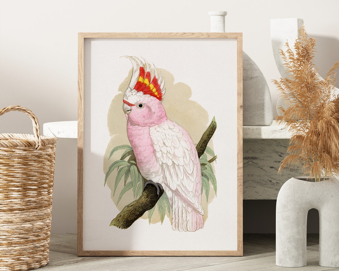 Pink Parrot Wall Art, Printable Tropical Vintage Parrot Art Print ...