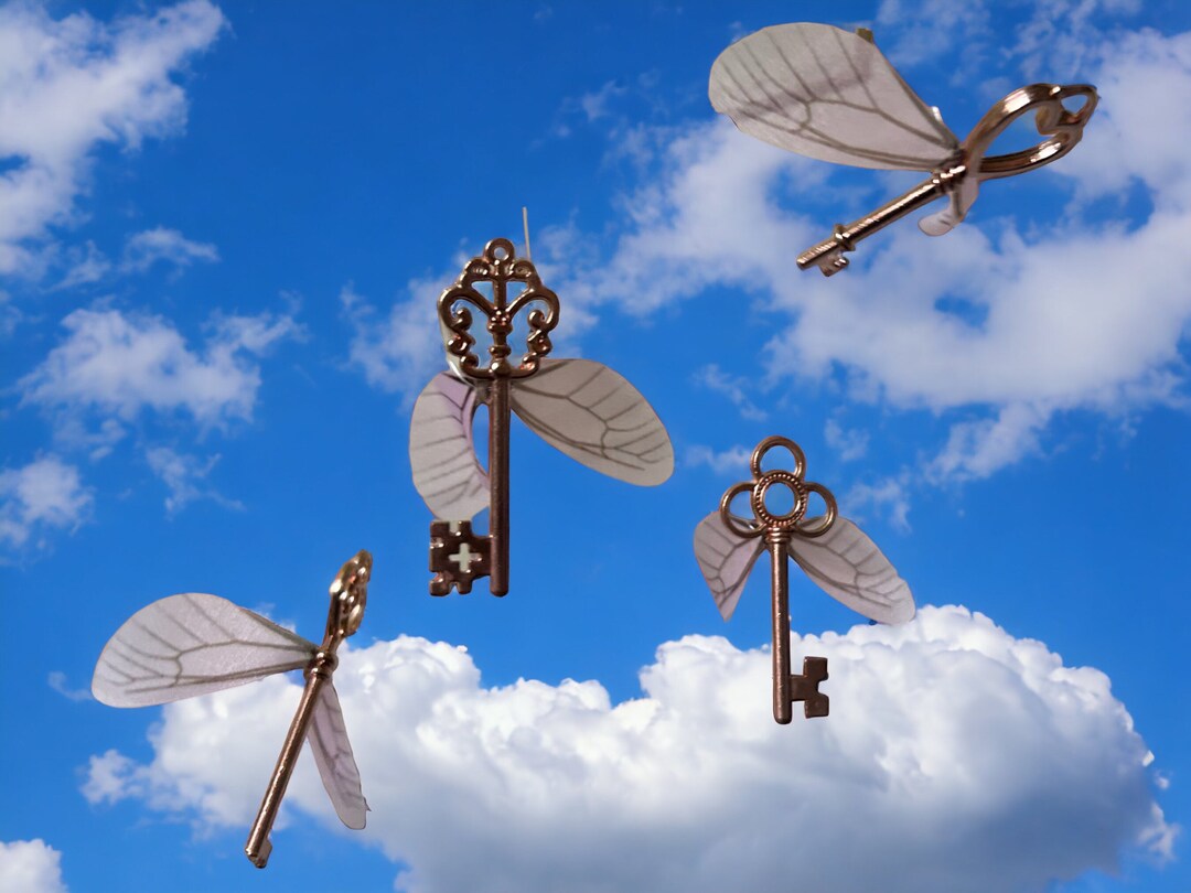 Floating Winged Keys - Etsy UK