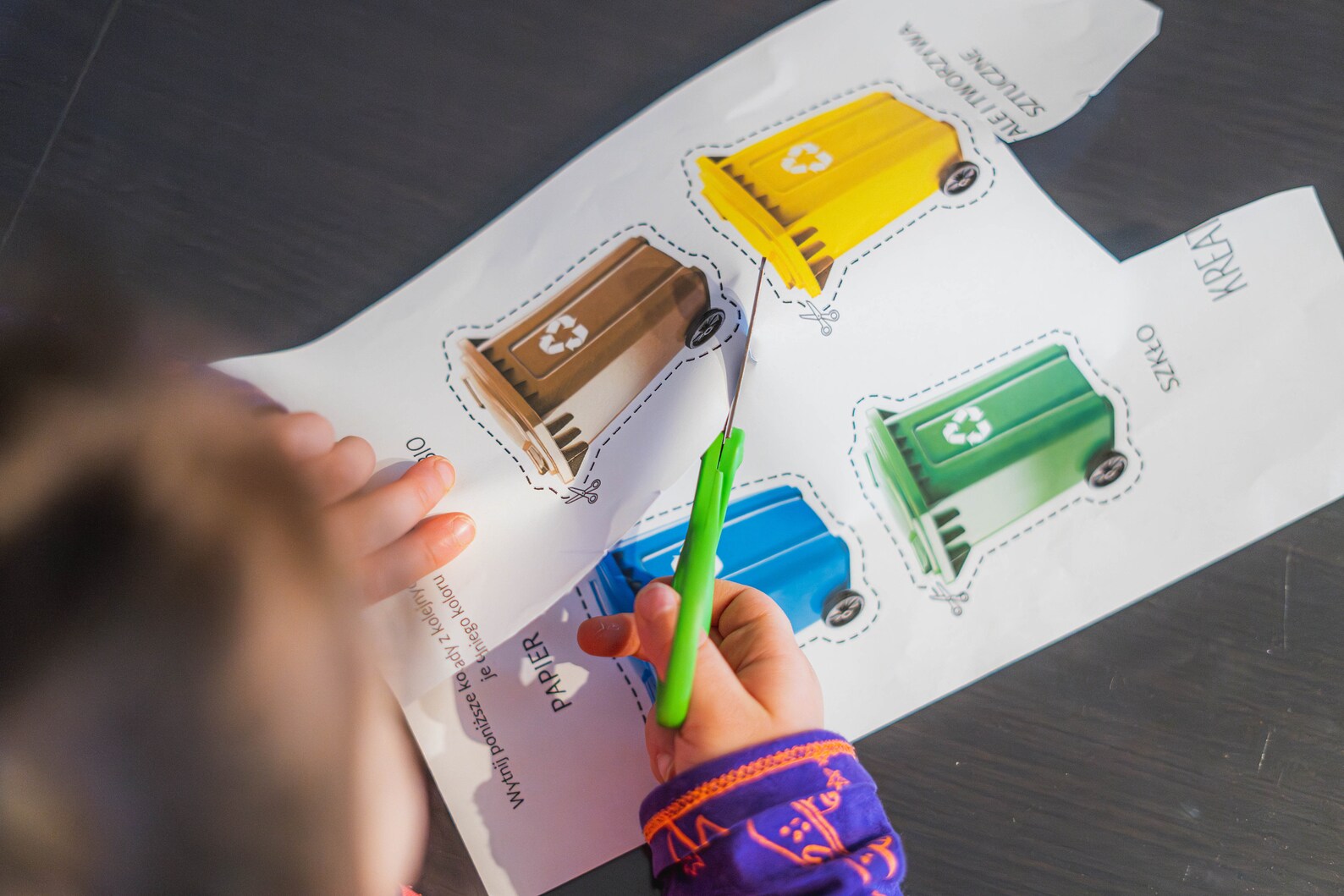 Earth Day Printable: Recycling Challenge Game for Waste Sorting ...