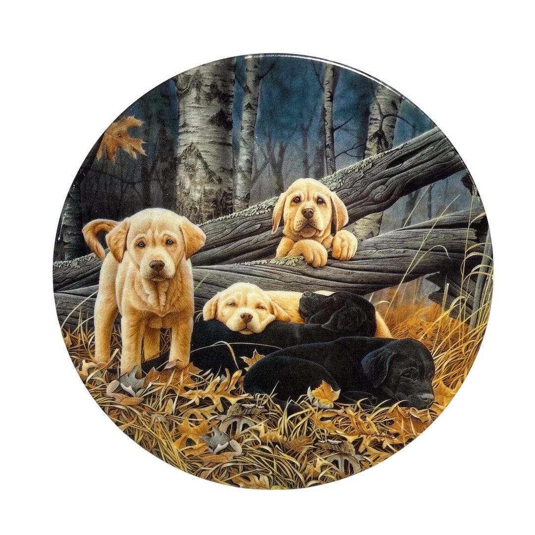 Limited Edition Bradford Exchange Sweet Dreams Plate Jerry Gadamus 1993 ...