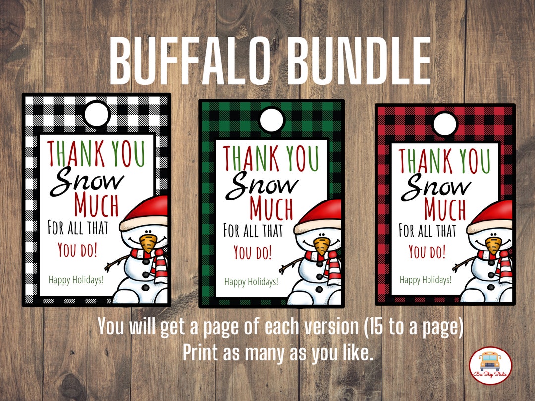 Thank You SNOW Much for All That You Do Tags | Christmas Teacher Tag ...