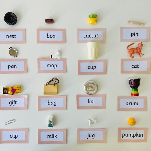 Phonetic Montessori Reading Cards - Etsy