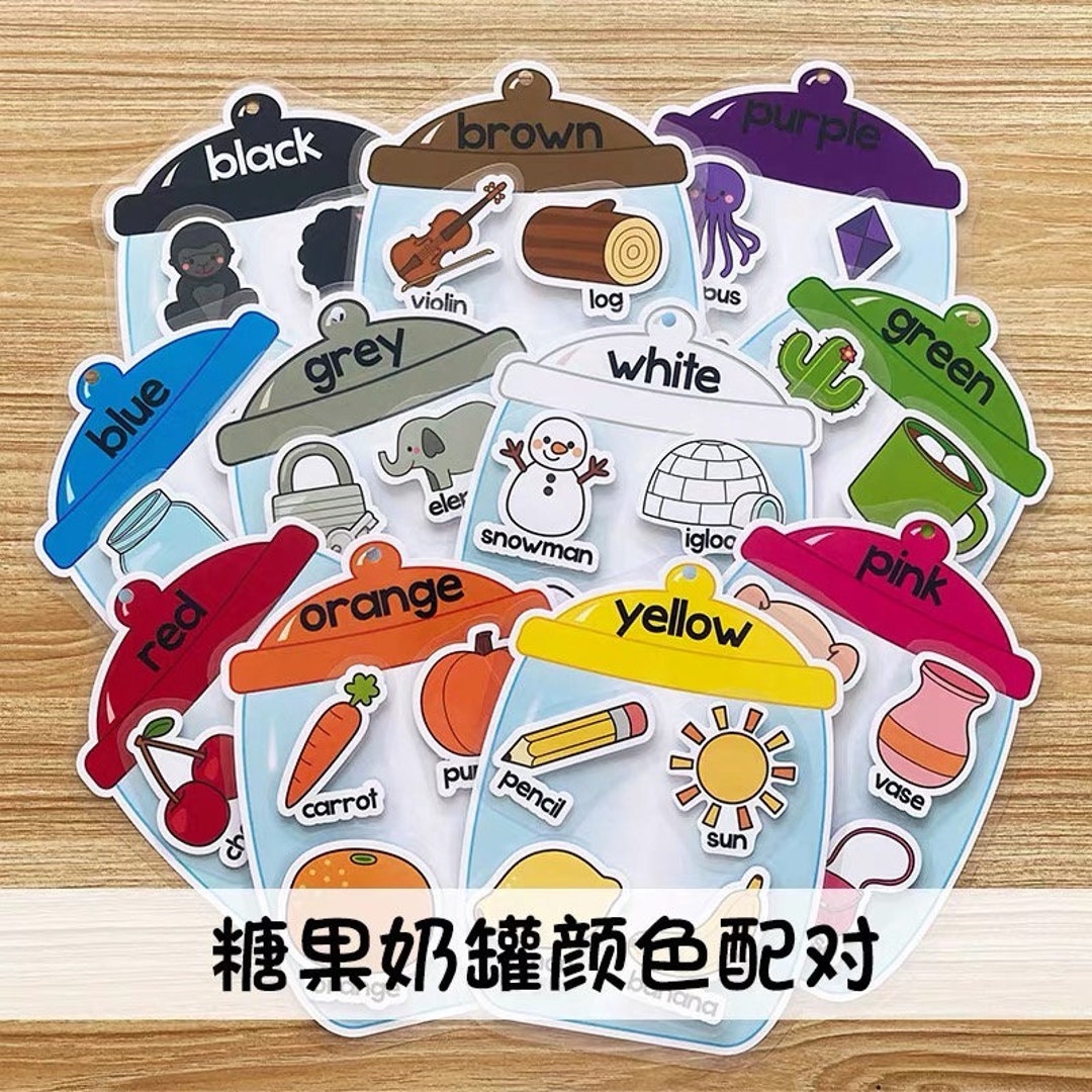 Color Matching 11 Colors Montessori Sensorial Activity - Etsy