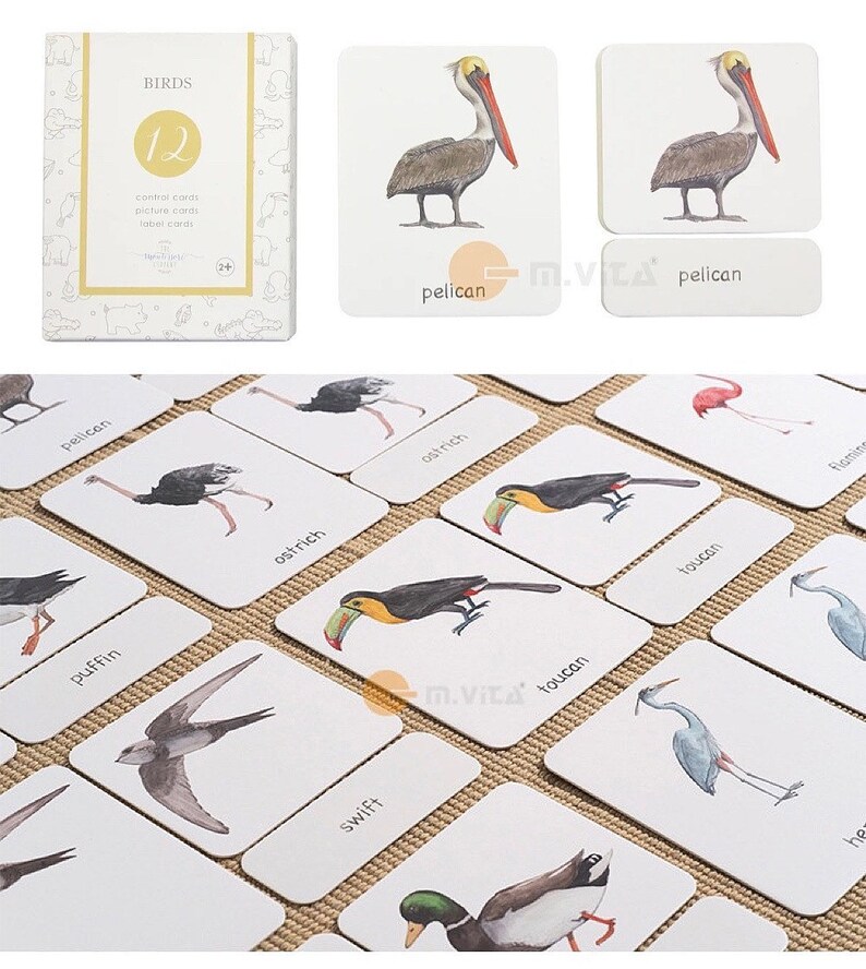 Montessori Classified Cards Language Activity 3 Parts Cards - Etsy