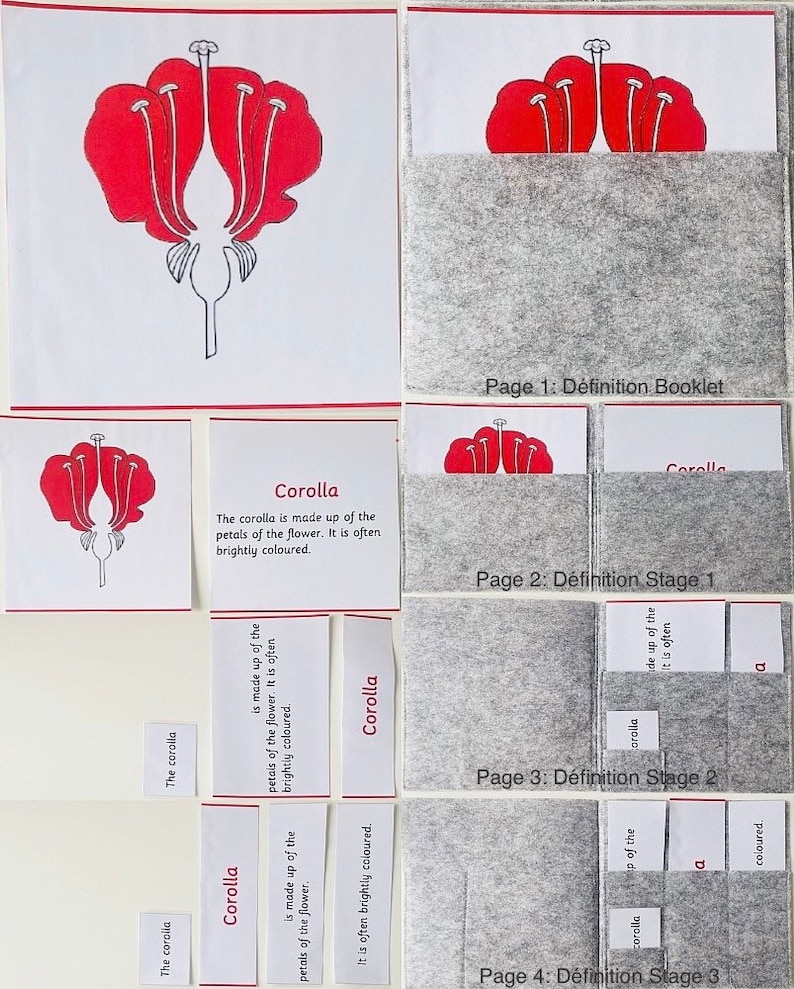 Definition Stages Definition Booklet Montessori Culture Language Area ...