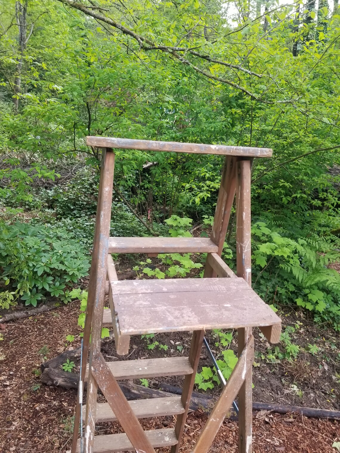 Excellent Vintage Wooden Ladder in Great Condition Vintage Blue ...