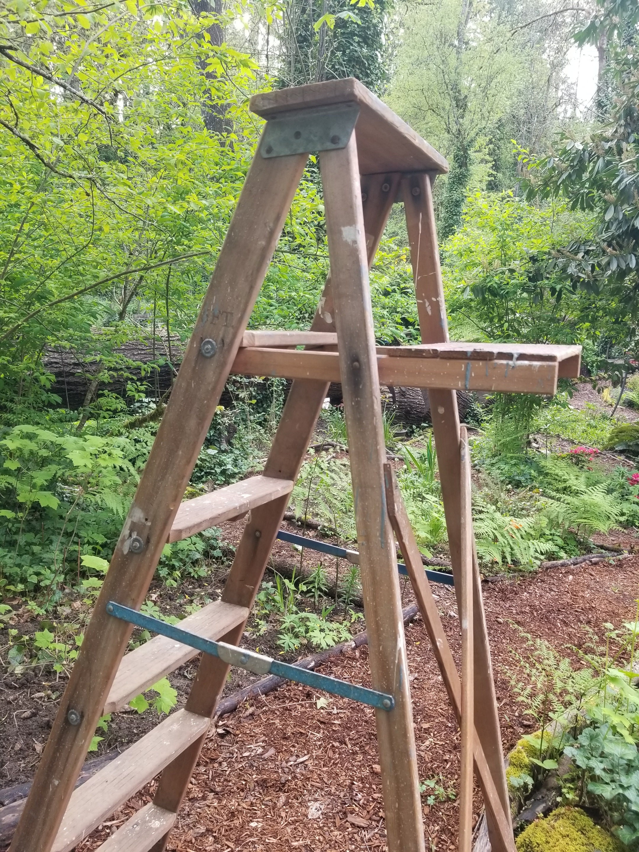 Excellent Vintage Wooden Ladder in Great Condition -- Vintage Blue ...