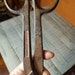 Antique Tool - 100 Year Old Shears/tin Snips - Etsy