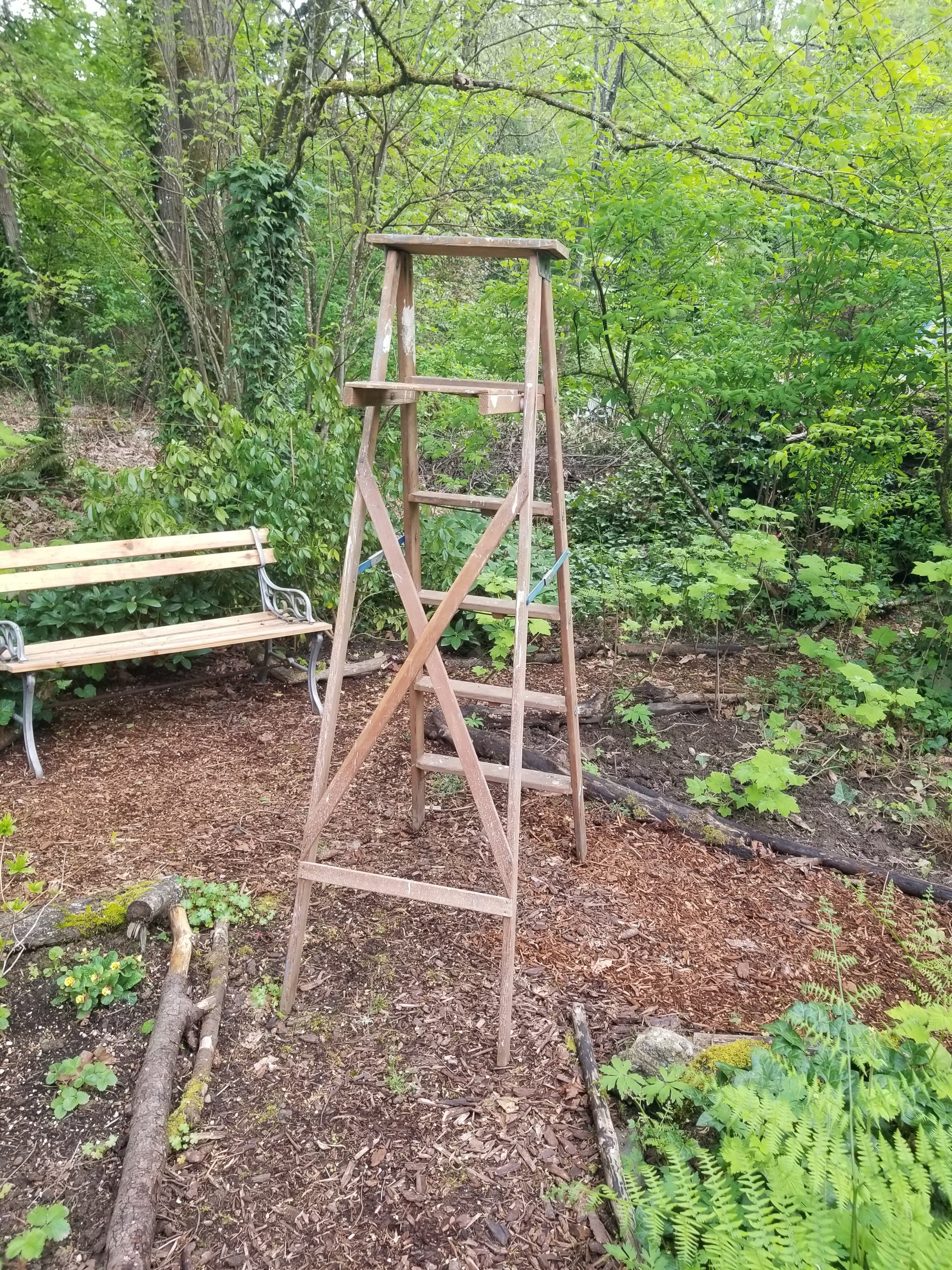 Excellent Vintage Wooden Ladder in Great Condition -- Vintage Blue ...