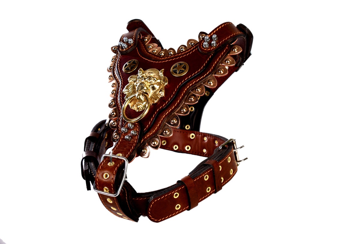 Leather Dog Harness Custom Design Handmade Custom Design - Etsy