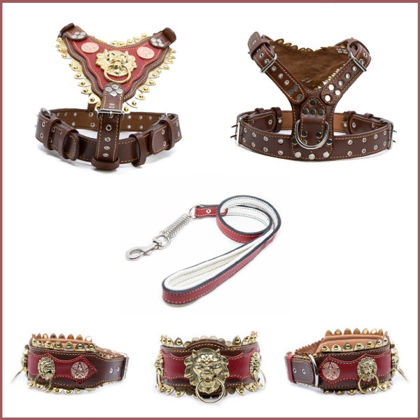 Harness Collar and Leash Set - Etsy