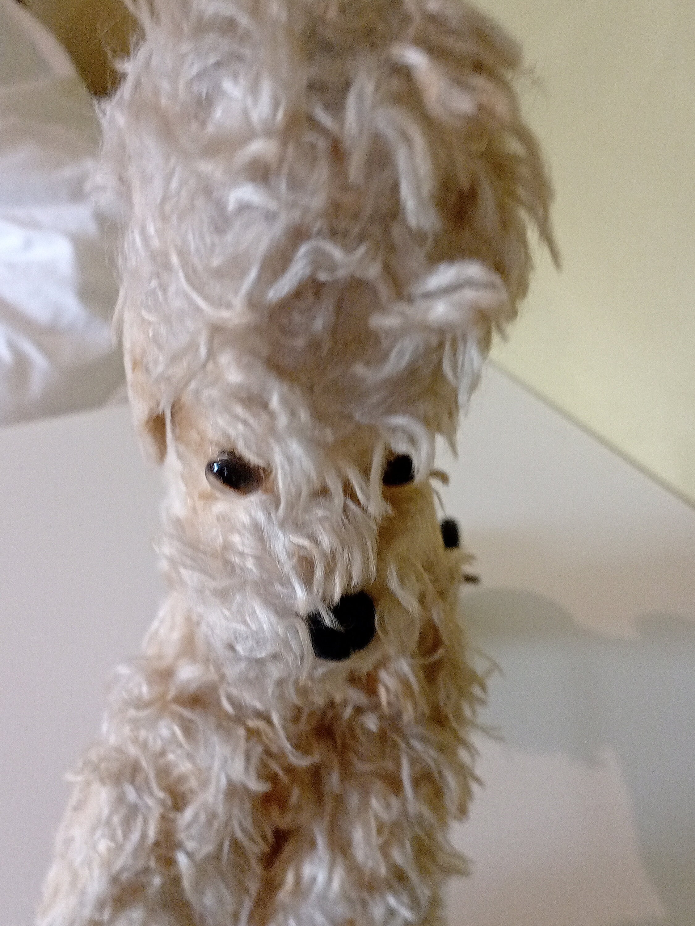 Steiff SNOBBY Poodle on Wheels Circa 1953 Vintage - Etsy