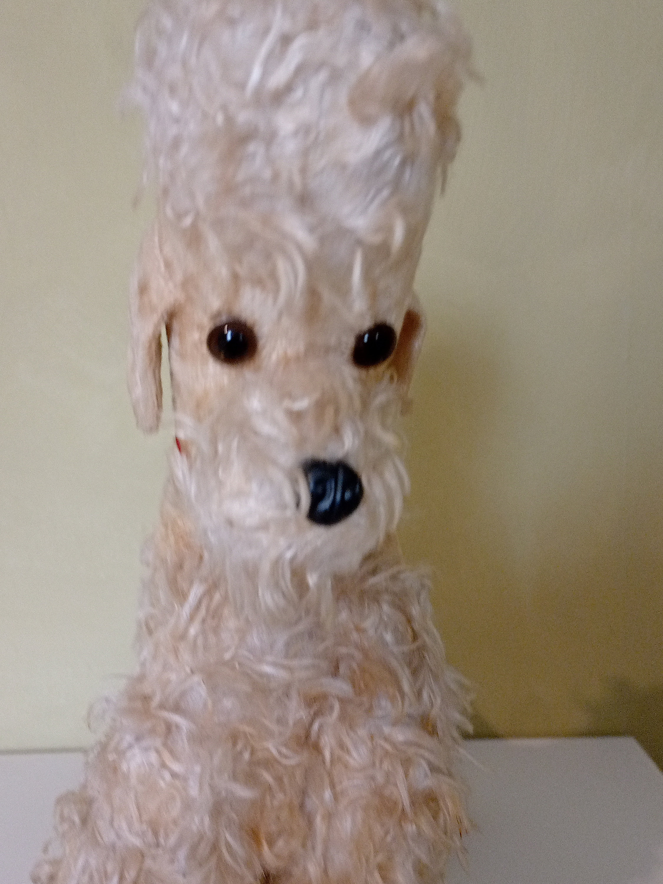 Steiff SNOBBY Poodle on Wheels Circa 1953 Vintage - Etsy
