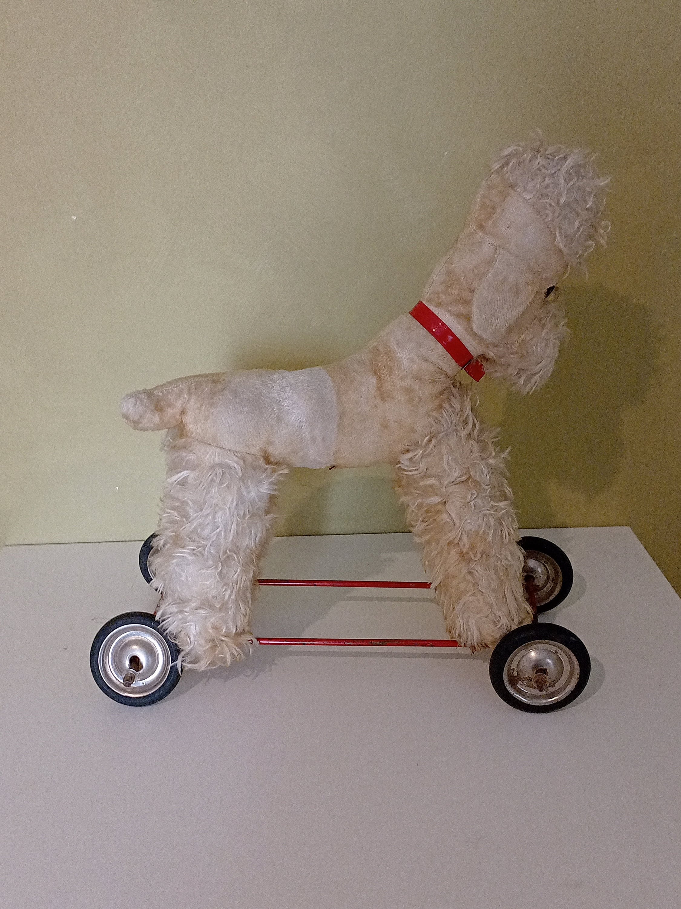 Steiff SNOBBY Poodle on Wheels Circa 1953 Vintage - Etsy