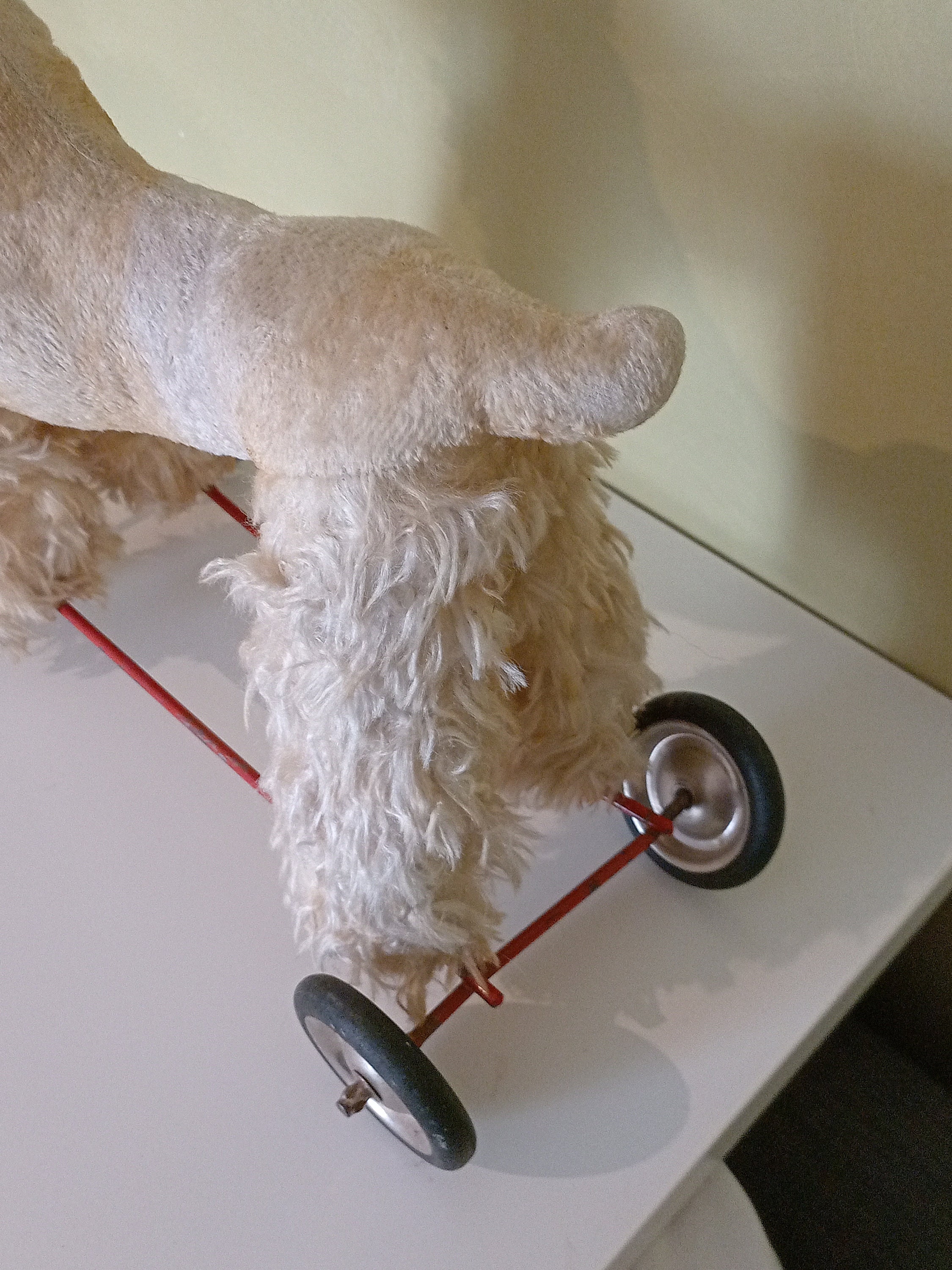 Steiff SNOBBY Poodle on Wheels Circa 1953 Vintage - Etsy