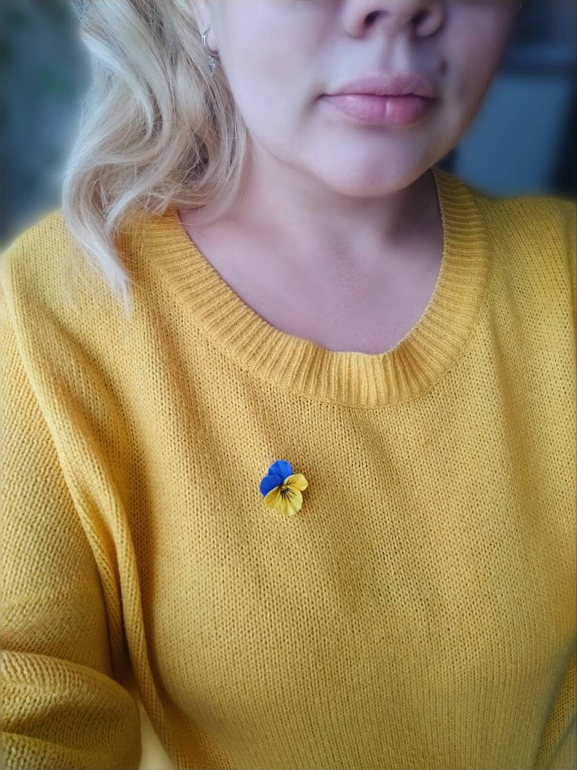 Pansy Brooch Blue Yellow Brooch Flower Brooch Ukrainian | Etsy
