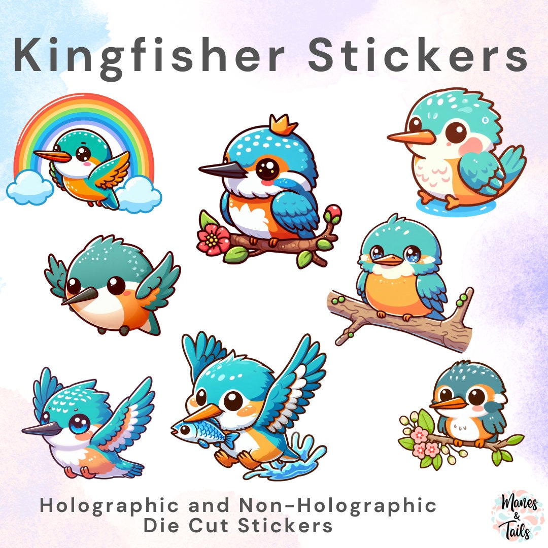 Kingfisher Stickers | 8 DESIGNS Plus HOLOGRAPHIC Finish | WATERPROOF ...