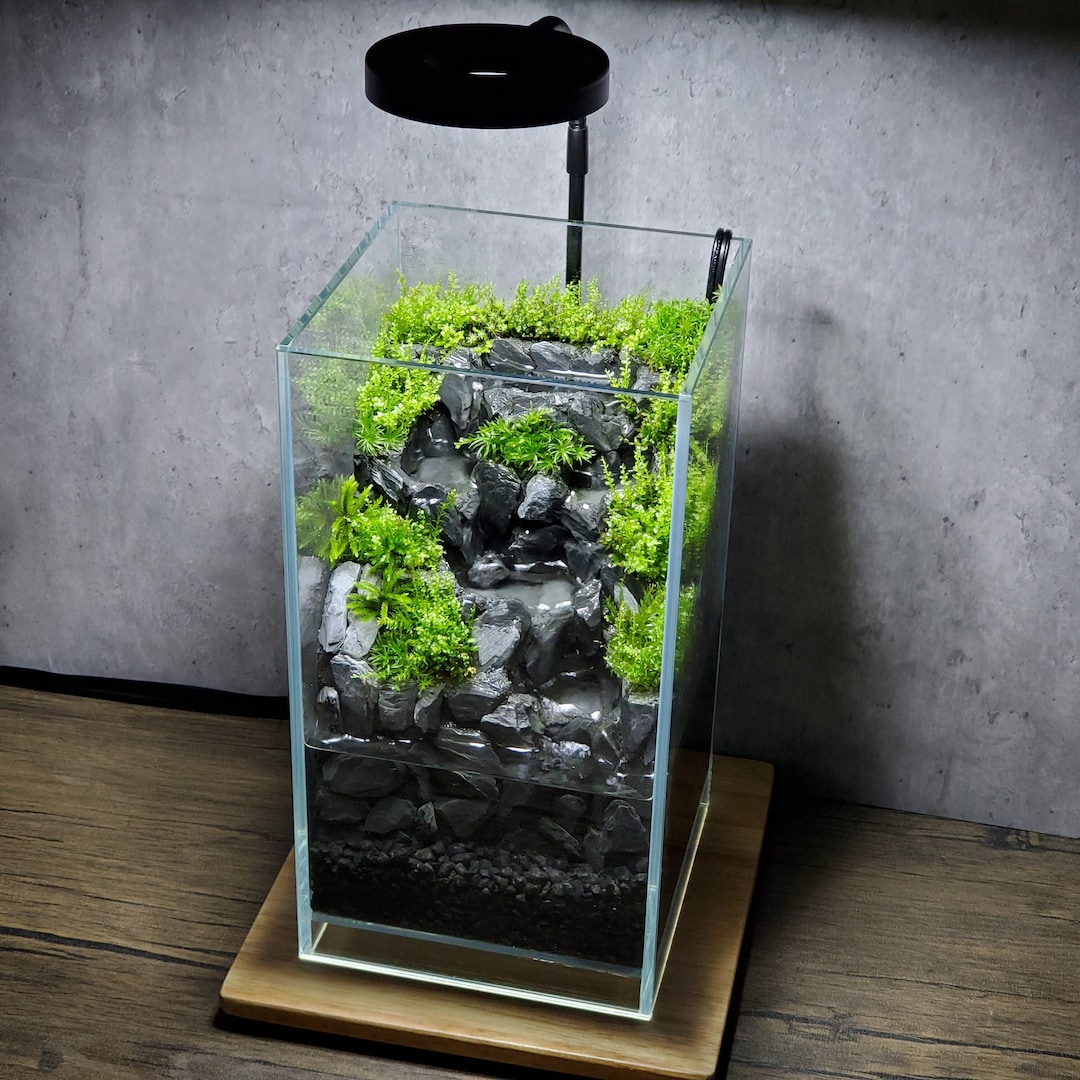 Live Moss Waterfall Terrarium 12 Tall, 6.5 Wide - Etsy