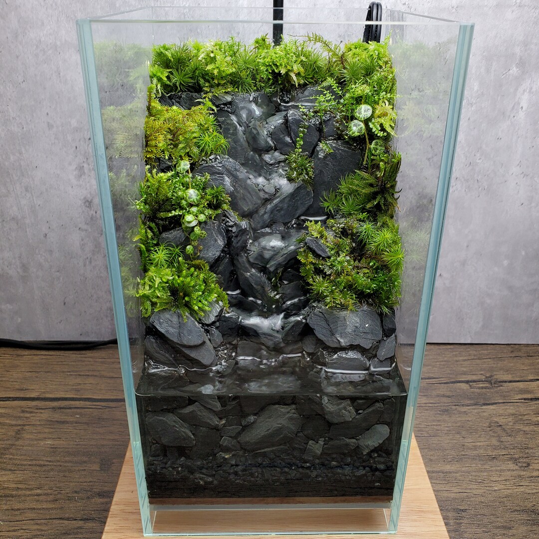 Live Moss Waterfall Terrarium 12 Tall 6.5 Wide - Etsy