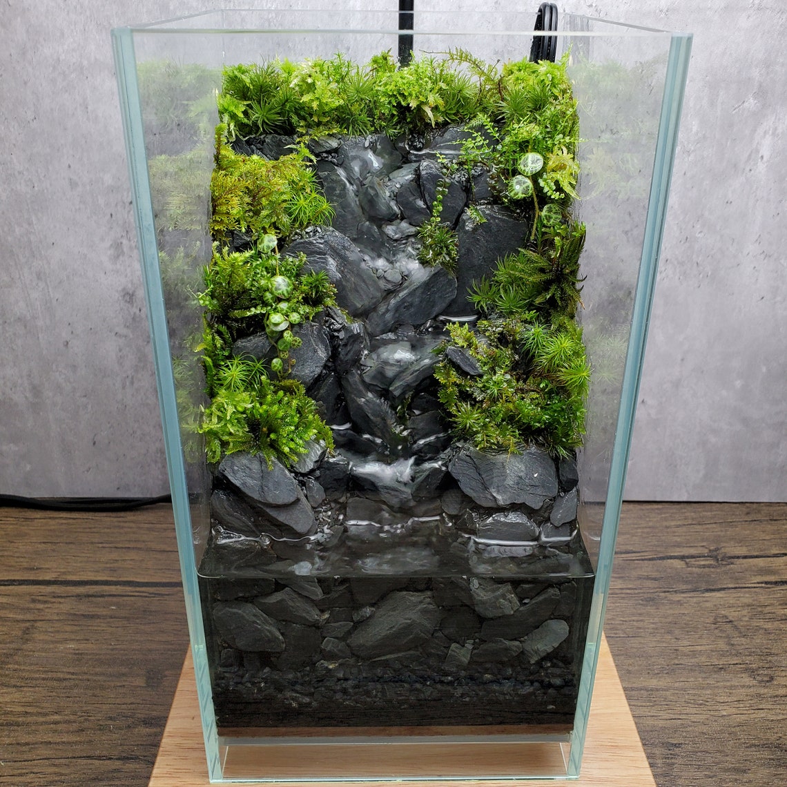 Live Moss Waterfall Terrarium 12 Tall 6.5 Wide - Etsy
