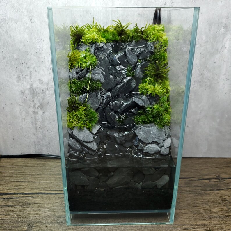 Live Moss Waterfall Terrarium 12 Tall 6.5 Wide - Etsy