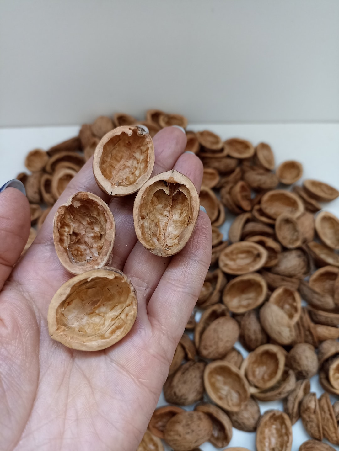 Walnut Shell Halves for Crafts and Decoration Nature Decoration at Home ...