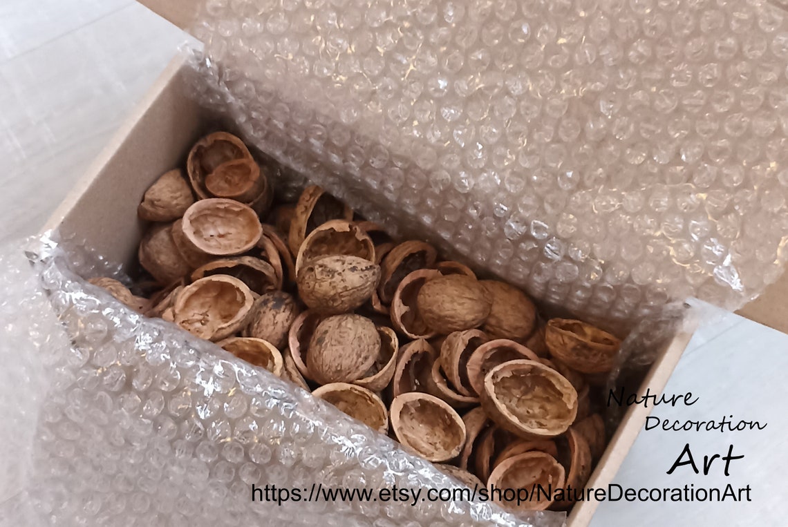 Walnut Shell Halves for Crafts and Decoration Nature - Etsy