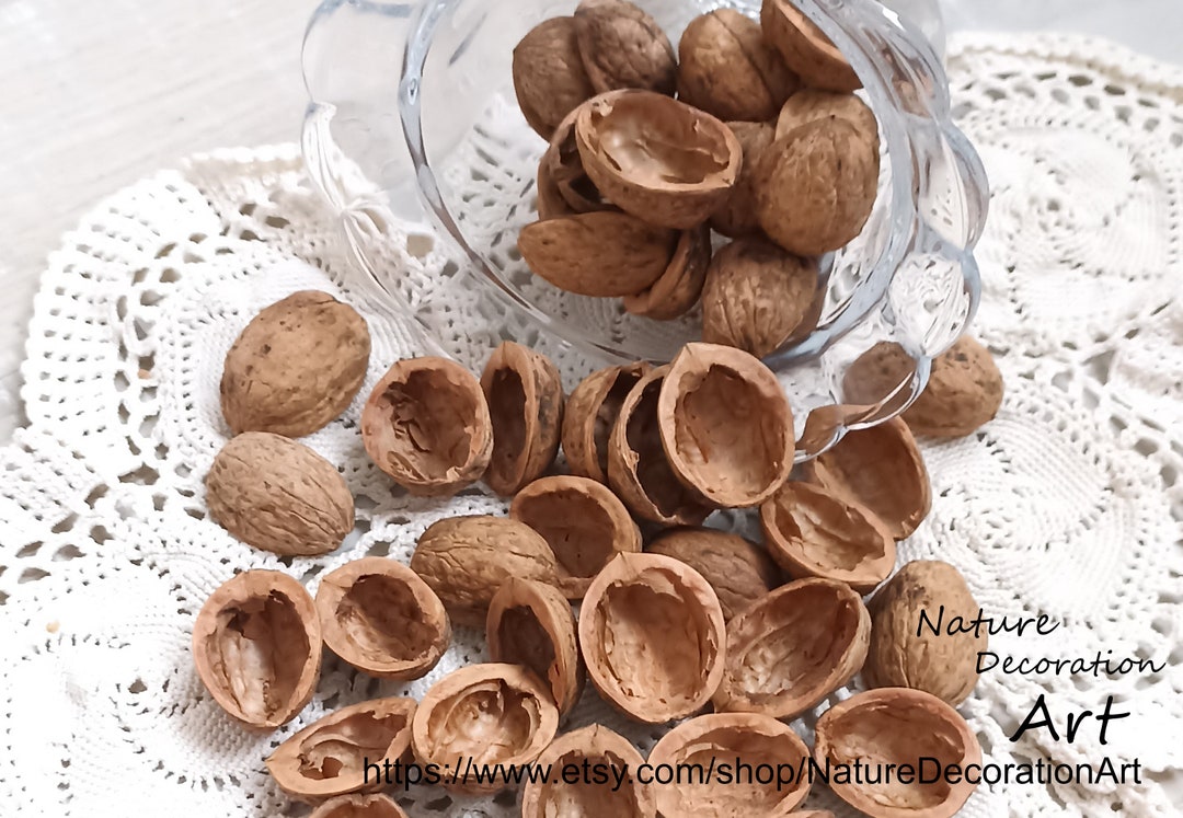 Walnut Shell Halves for Crafts and Decoration Nature Decoration at Home ...