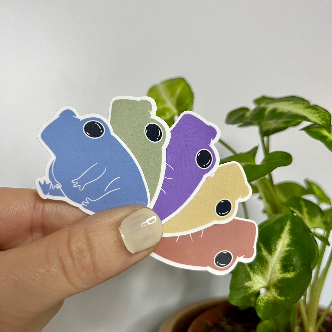 Rainbow Frog Sticker Set - Etsy
