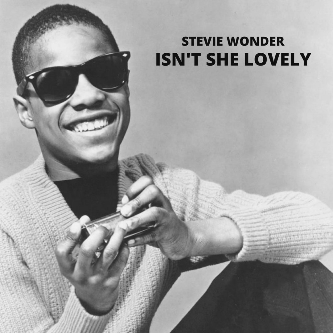 Stevie Wonder - Isn't She Lovely 12" Rare Clear Promo LP - Etsy