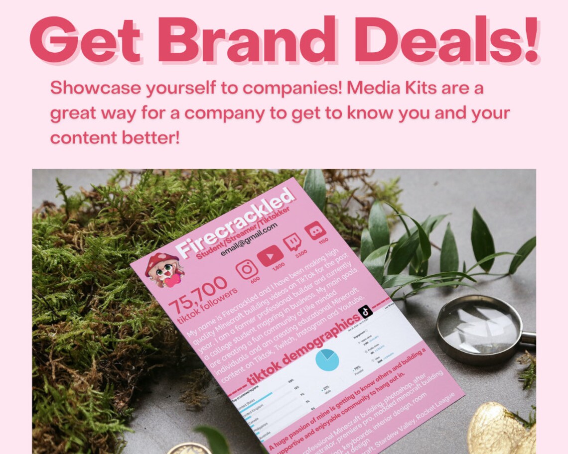 Customizable Pink Media Kit for Tiktok/tiktokkers - One Page Canva ...