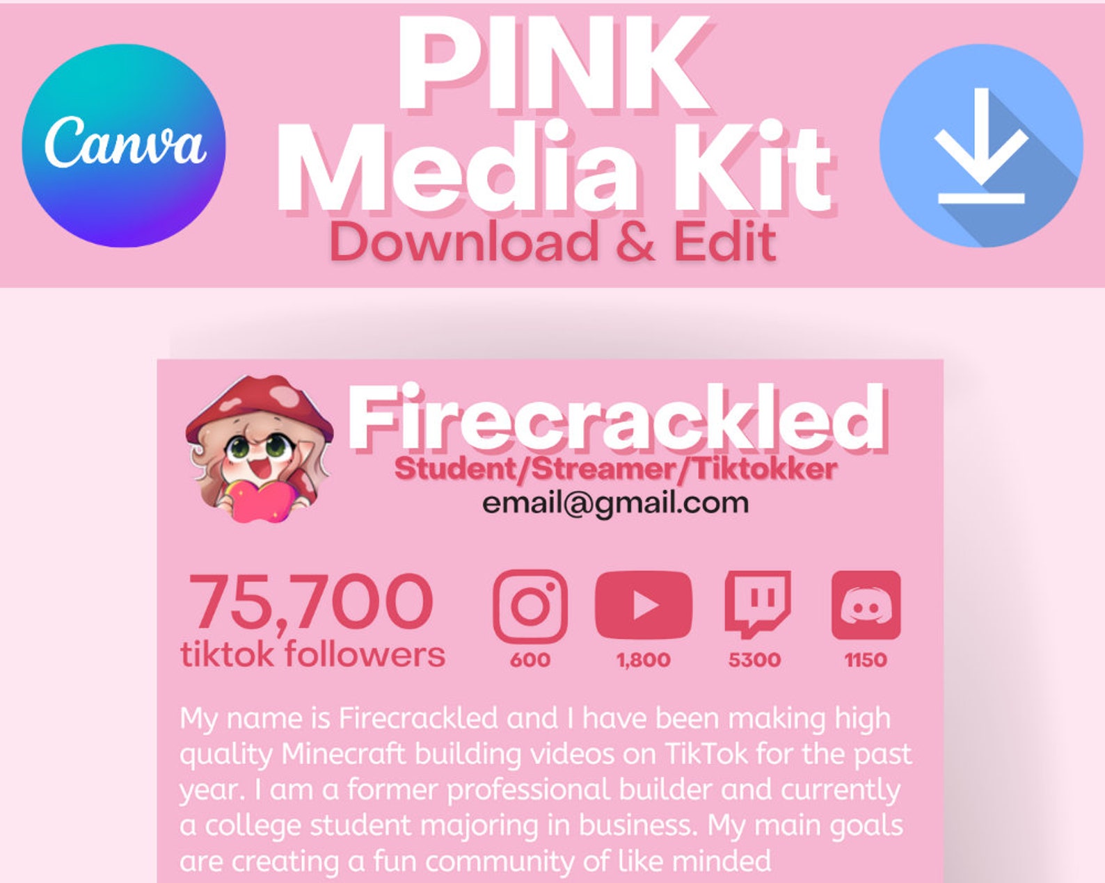 Customizable Pink Media Kit for Tiktok/tiktokkers - One Page Canva ...