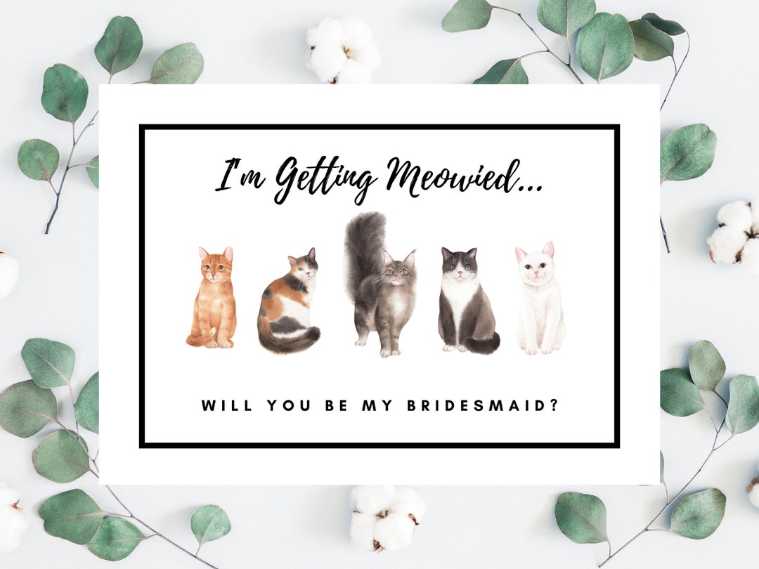 I'm Getting Meowied Bridesmaid Proposal, Cat Lover Bridesmaid Proposal ...