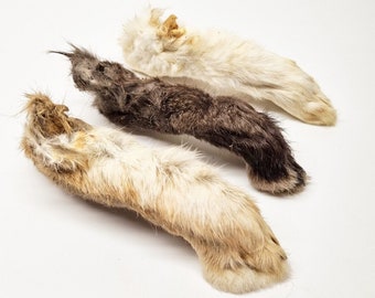 Rabbit Feet FRONT FEET, Dehydrated 5 Pack, Hair on Treats Chews Bone ...