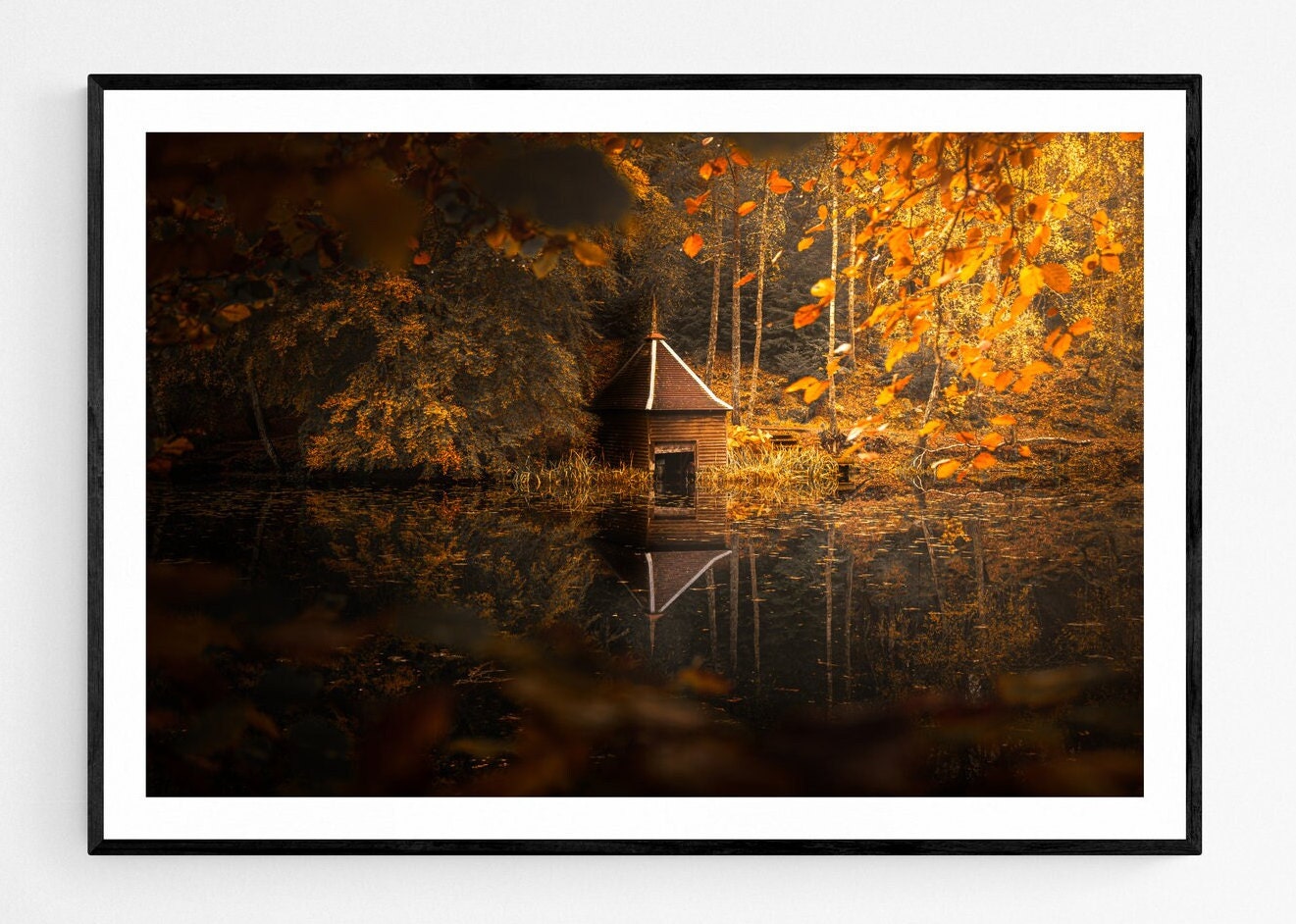 Faskally Forest, Perthshire, Scotland Unframed Photographic Print, Wall ...