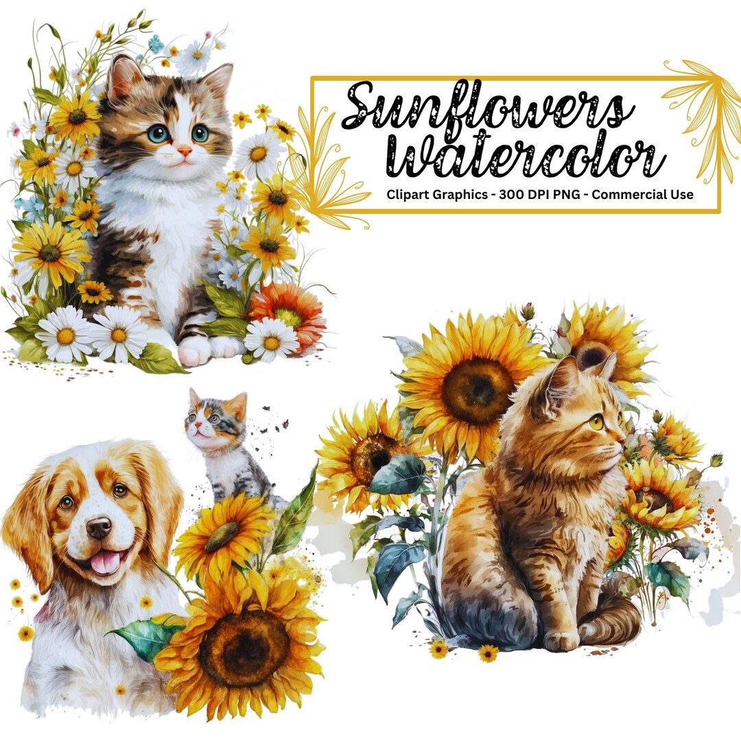 Watercolor Sunflower Clipart Bundle Fall Sunflower Floral Clipart PNG ...