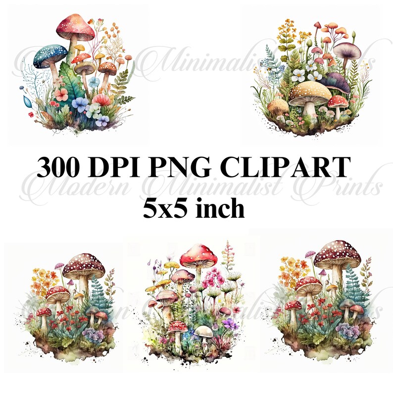 Mushrooms Bundle PNG Watercolour Magic Mystical Mushrooms Clipart ...